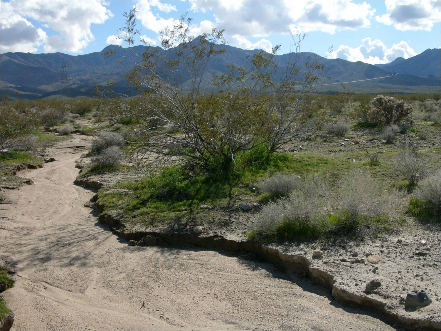 WHEN THE BROOK DRIES UP – End Time Thinker