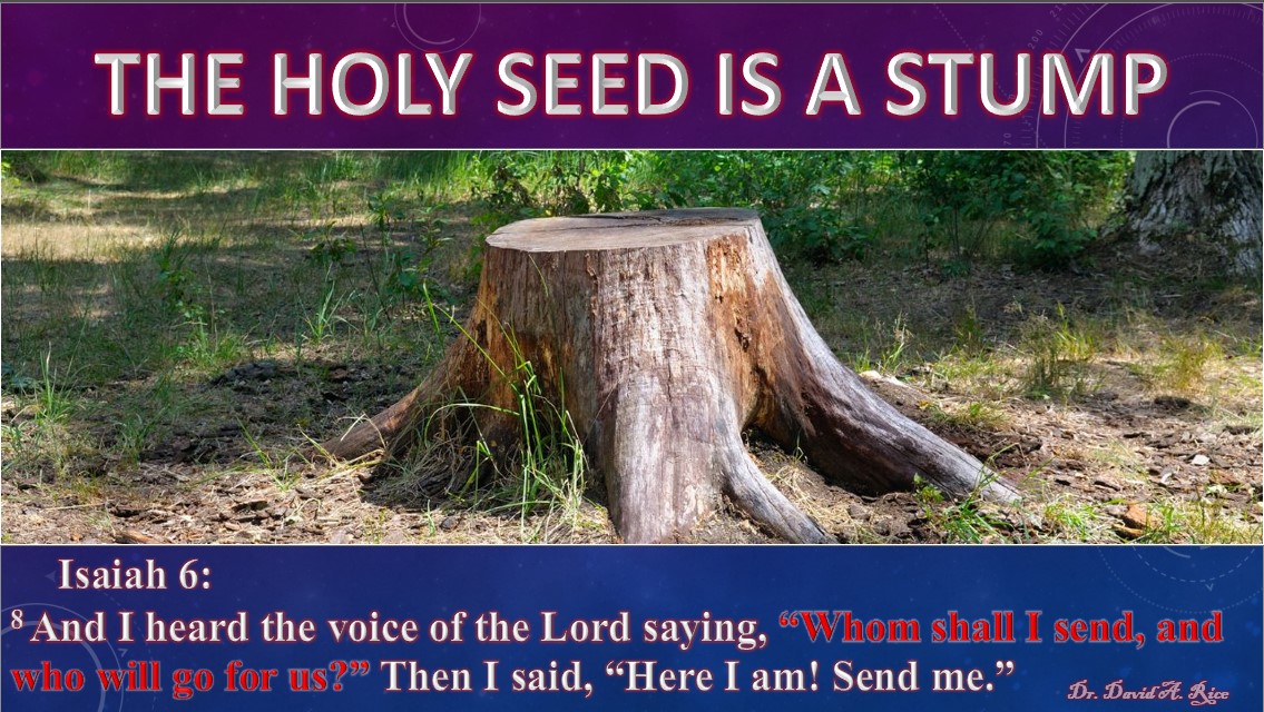 THE HOLY SEED IS A STUMP – End Time Thinker